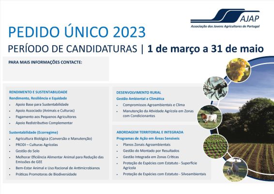 Pedido Único: conheça a Rede da AJAP que o pode ajudar – AJAP